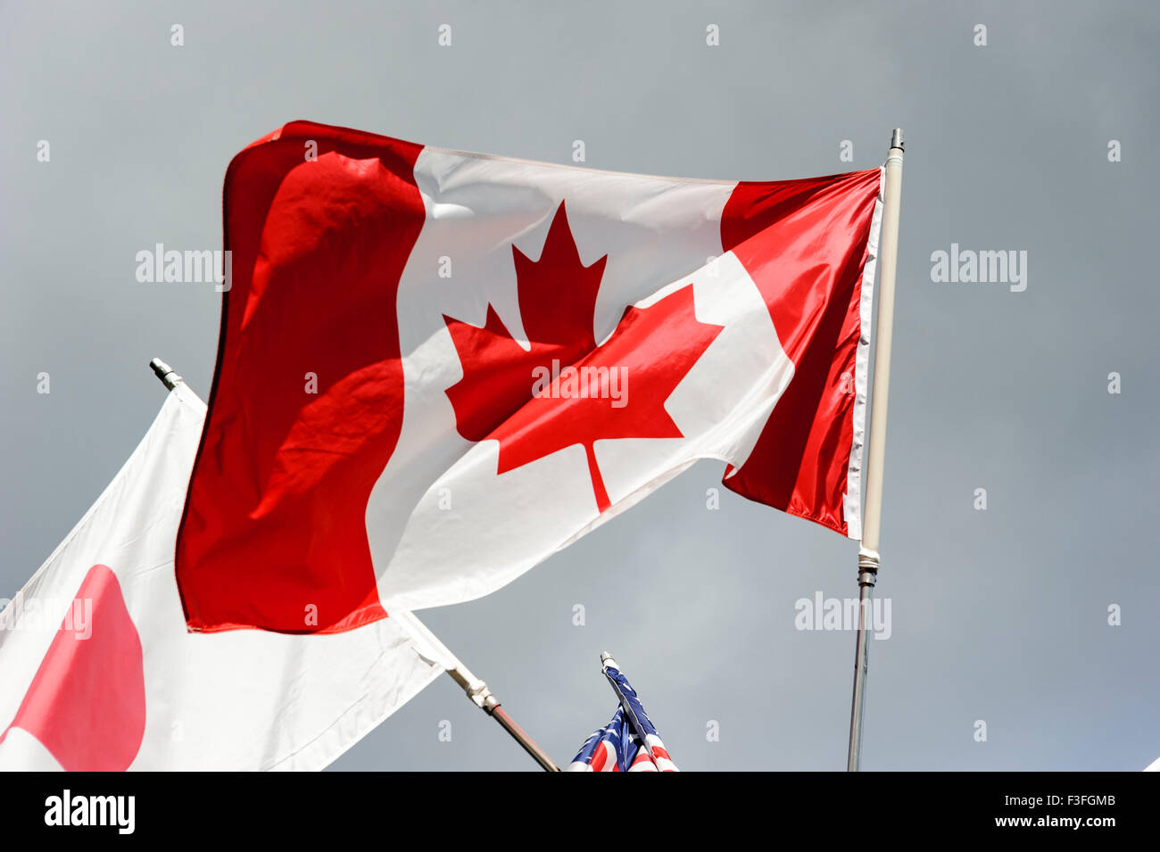 Flying canadian flag hi-res stock photography and images - Alamy