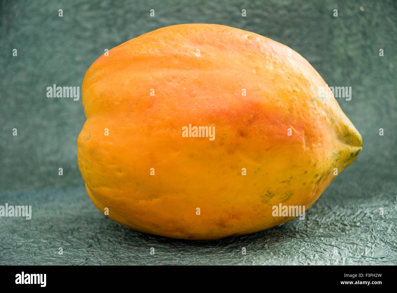 Papaya fruit whole one on blue background in studio papaw pawpaw Stock ...