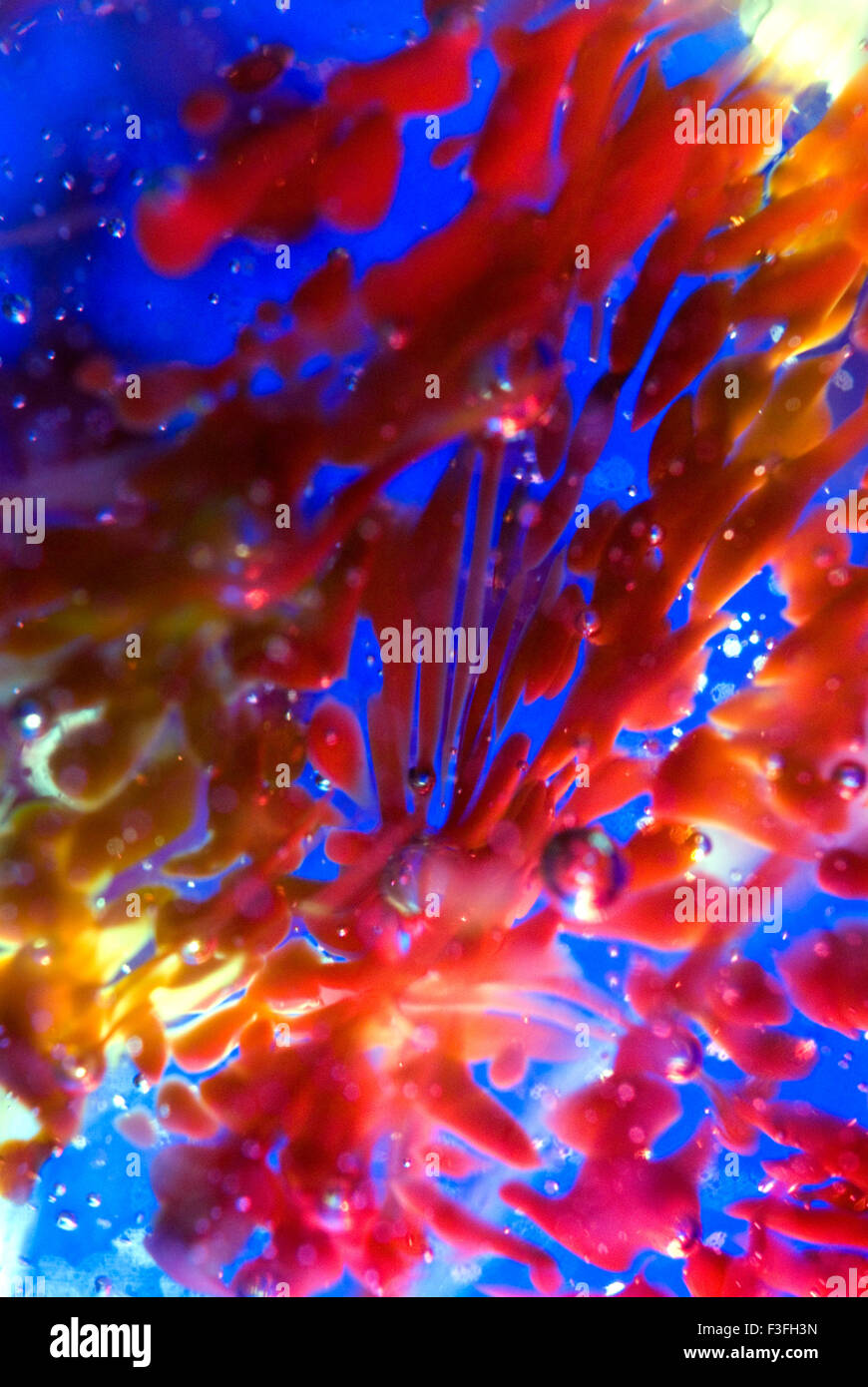 Glass paperweight hi-res stock photography and images - Alamy