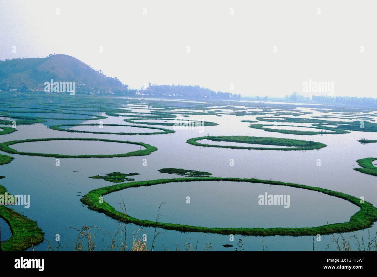 Manipur loktak lake hi-res stock photography and images - Alamy
