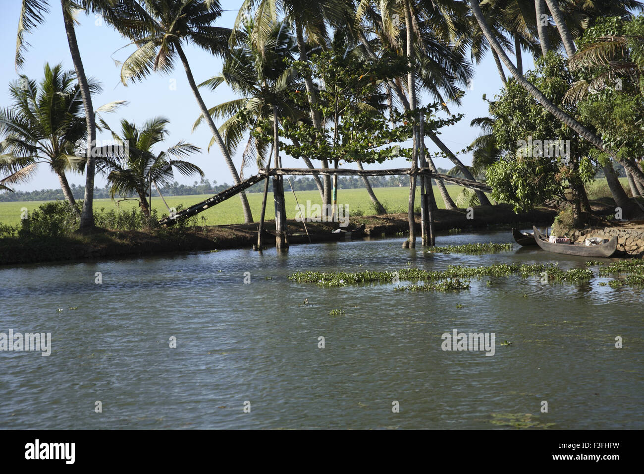 Pedestrian crossing kerala hi-res stock photography and images - Alamy