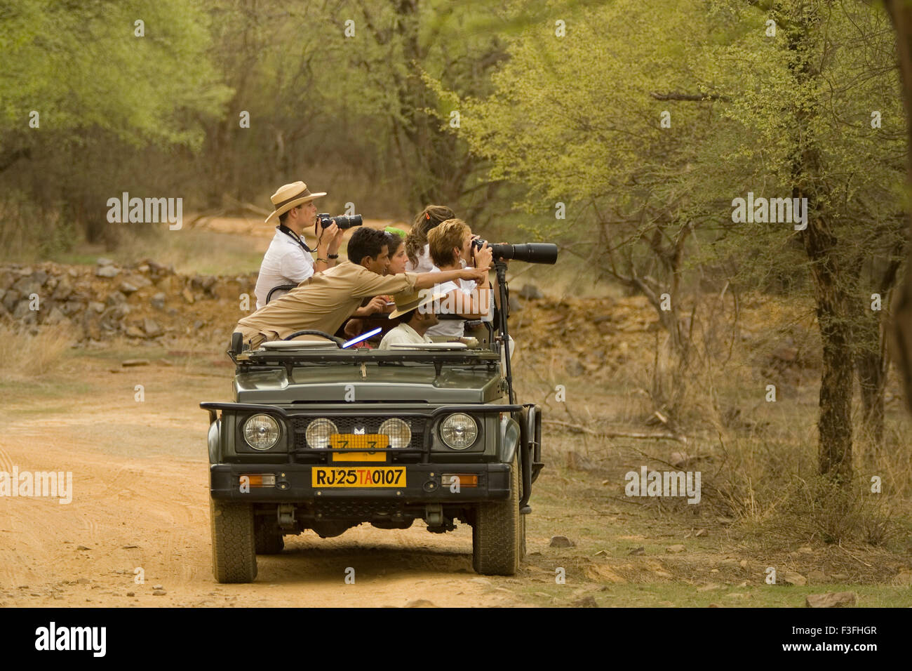 Wildlife safari in jeep ; Ranthambore ; Rajasthan ; India Stock Photo ...