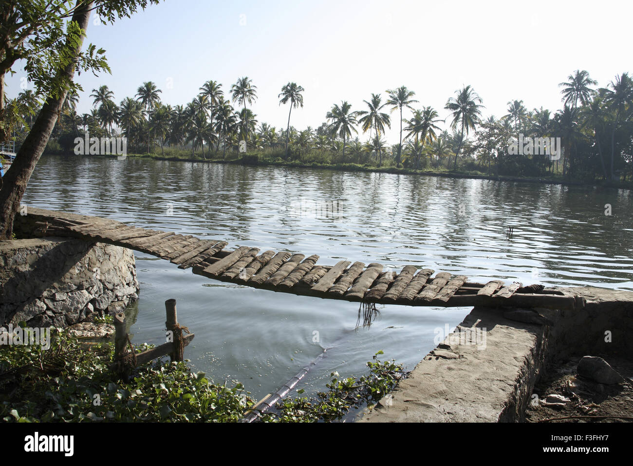 Wooden bridge above backwaters ; Alleppey ; Alappuzha ; Kerala ; India ...