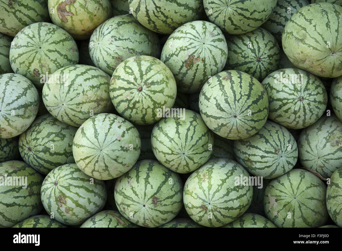 Fruit ; Watermelons for sale ; Kerala ; India Stock Photo - Alamy