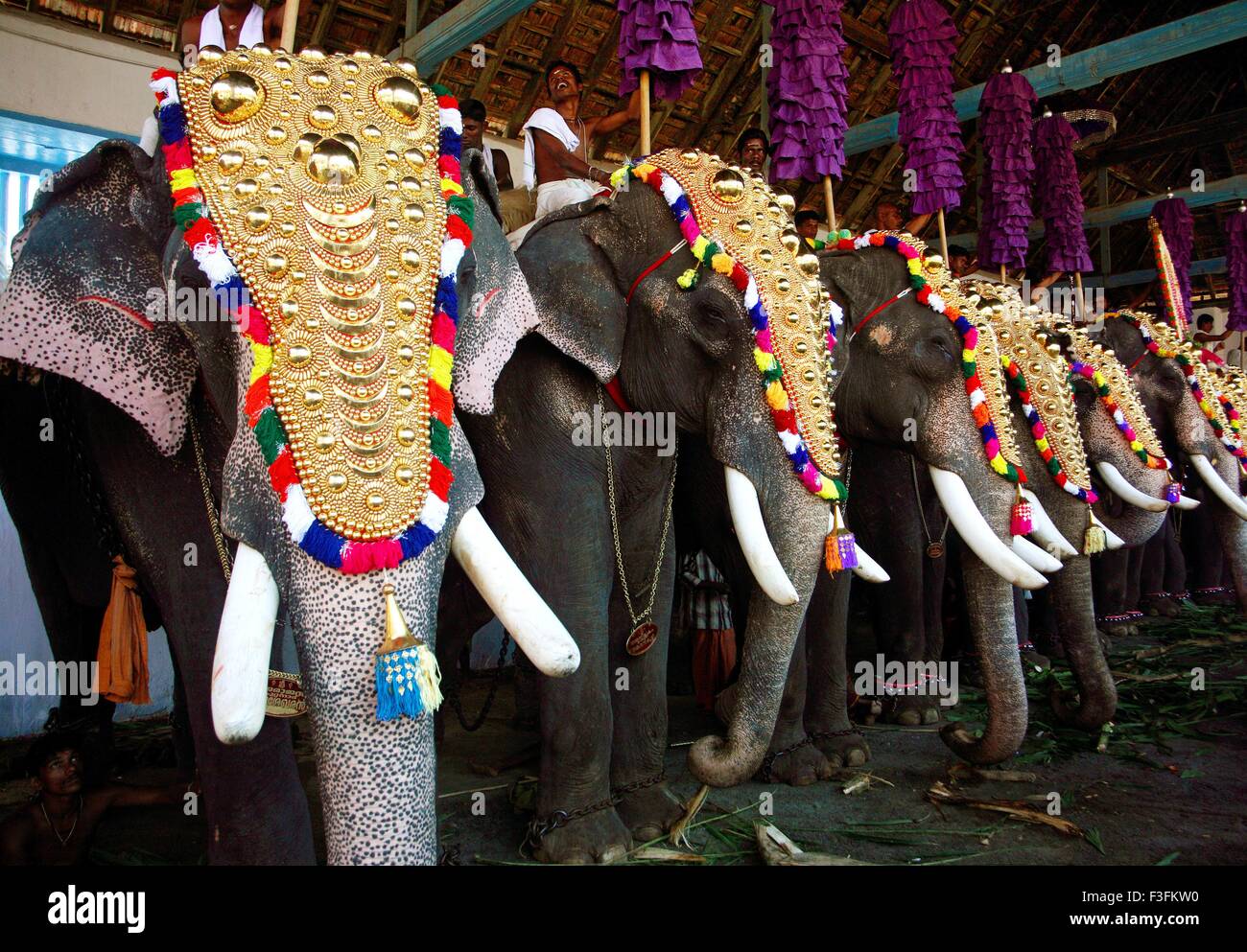 Utsavam elephant march festival ; Thrippunithura Cochin ; Kerala ...