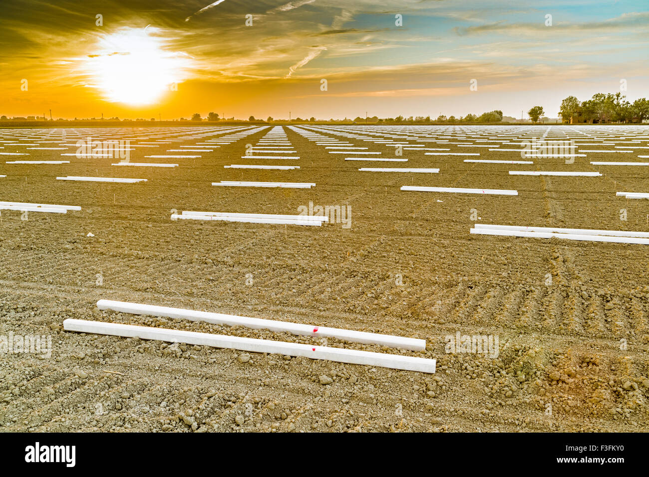 efficiency and effectiveness in modern agriculture, geometric designs ...