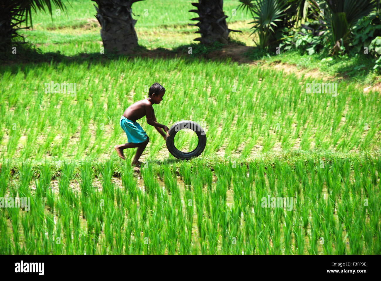 Children playing in rice field hi-res stock photography and images - Alamy