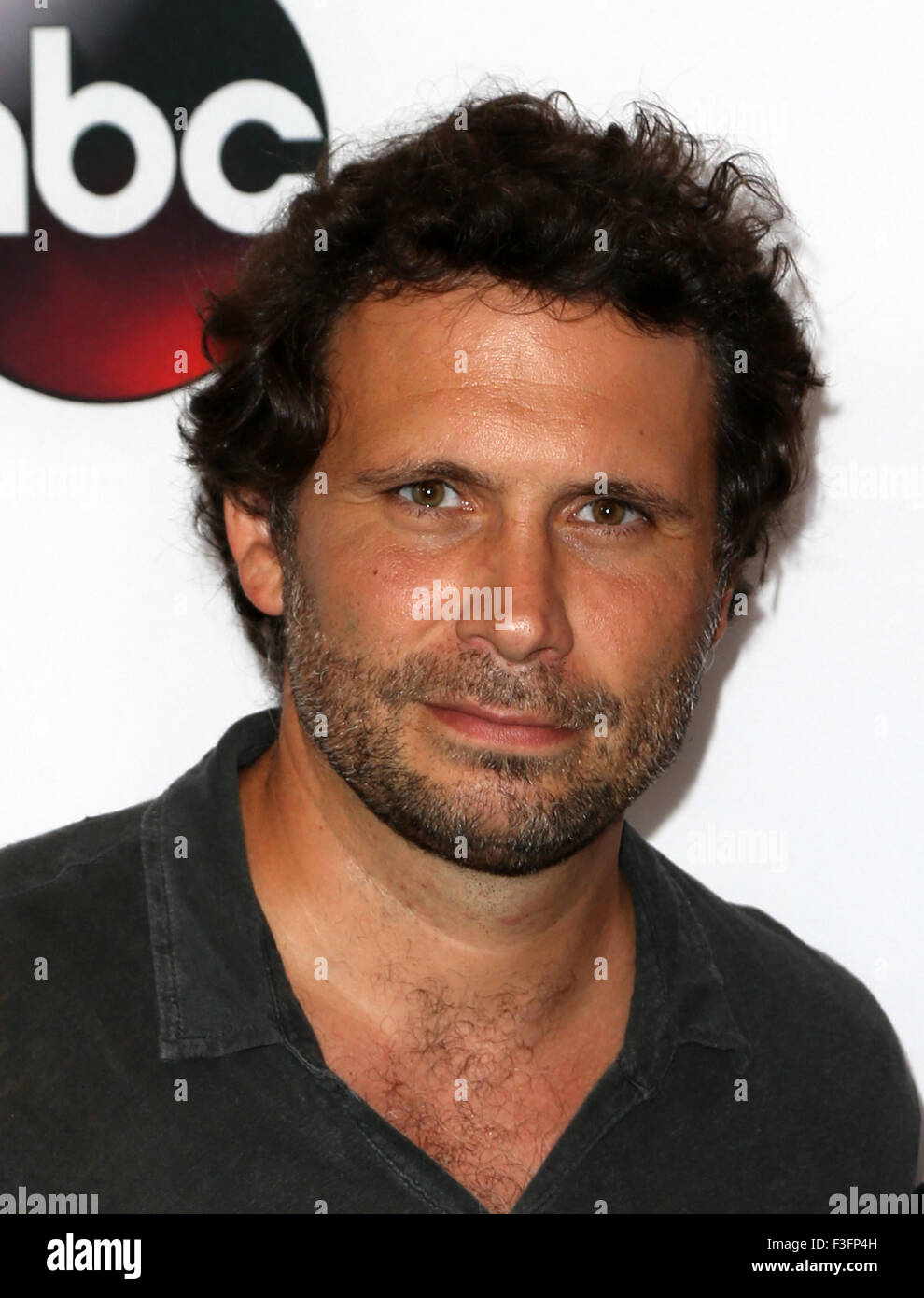 Disney ABC Television Group’s 2015 TCA Summer Press Tour held at the ...