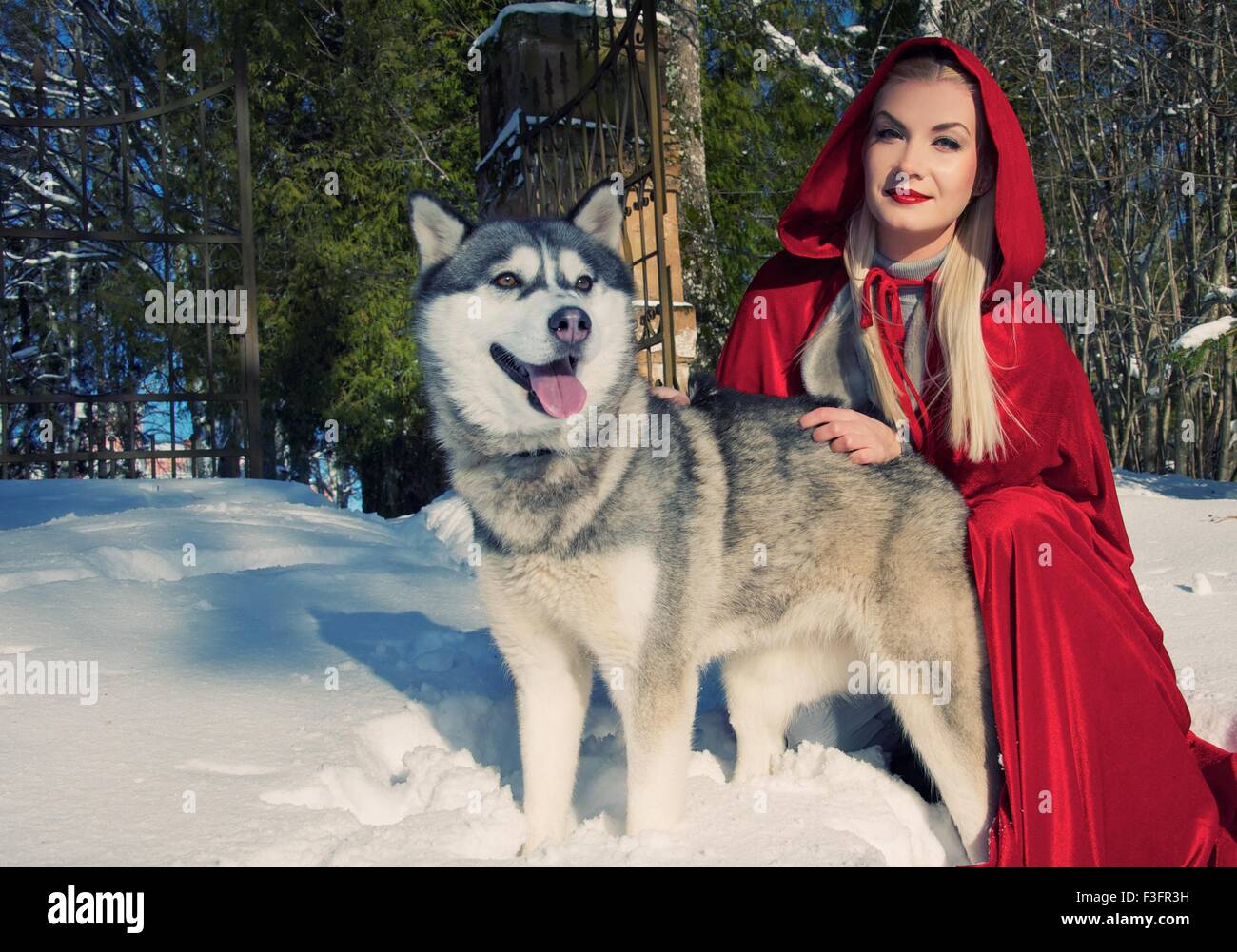 Smiling Red Hood with a wolf Stock Photo - Alamy