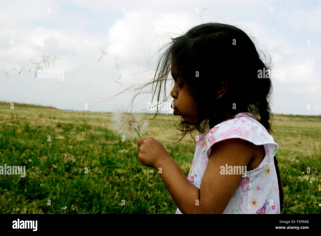 Girl blowing on dandelion flower Stock Photo - Alamy