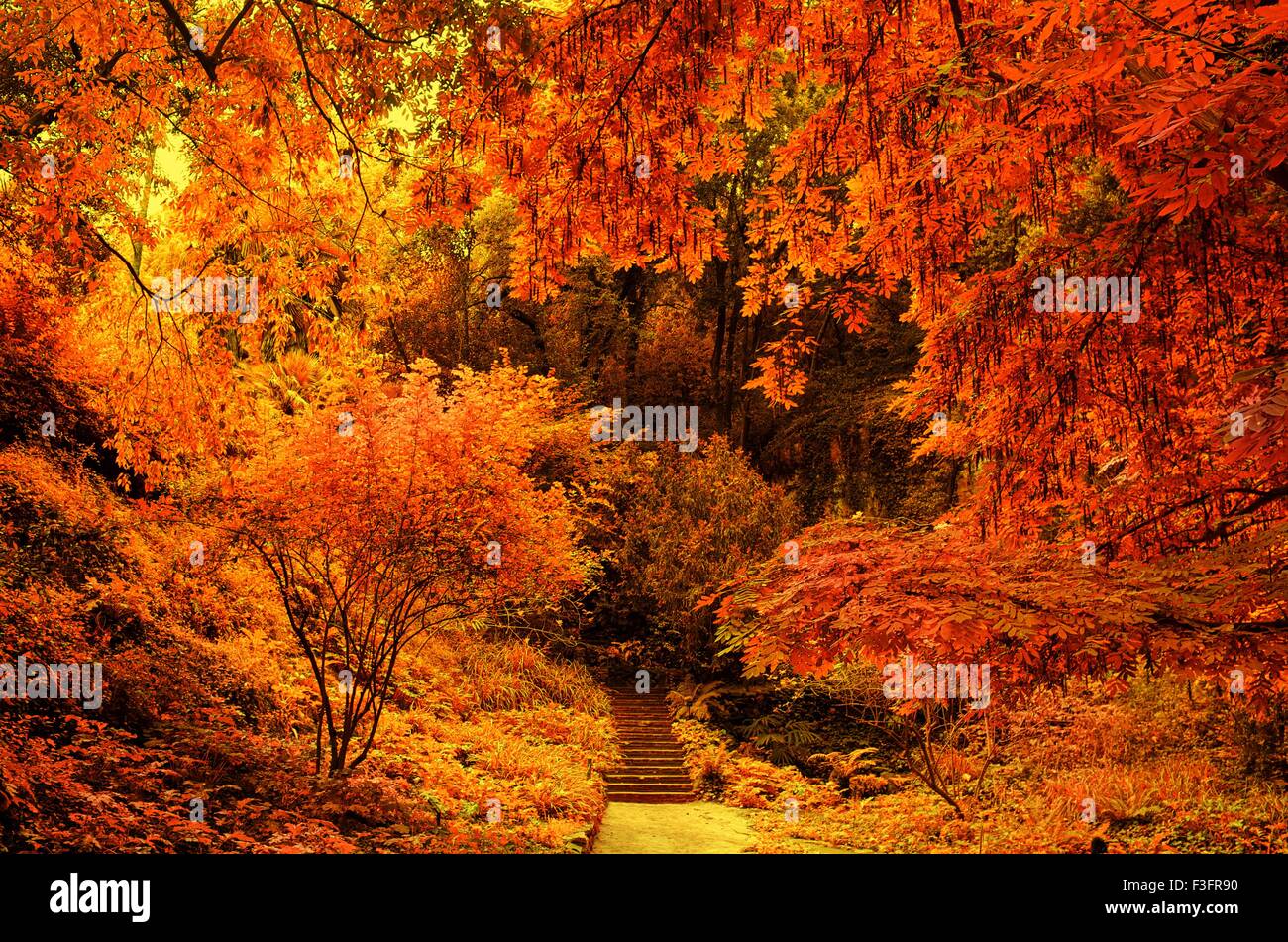 Fall stair scene in hi-res stock photography and images - Alamy