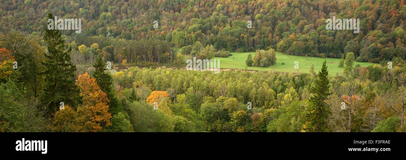 Beautiful autumn forest panorama Stock Photo - Alamy