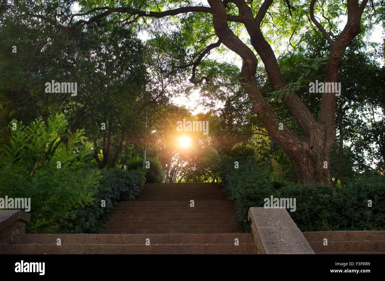 Stair in a beautiful park Stock Photo - Alamy