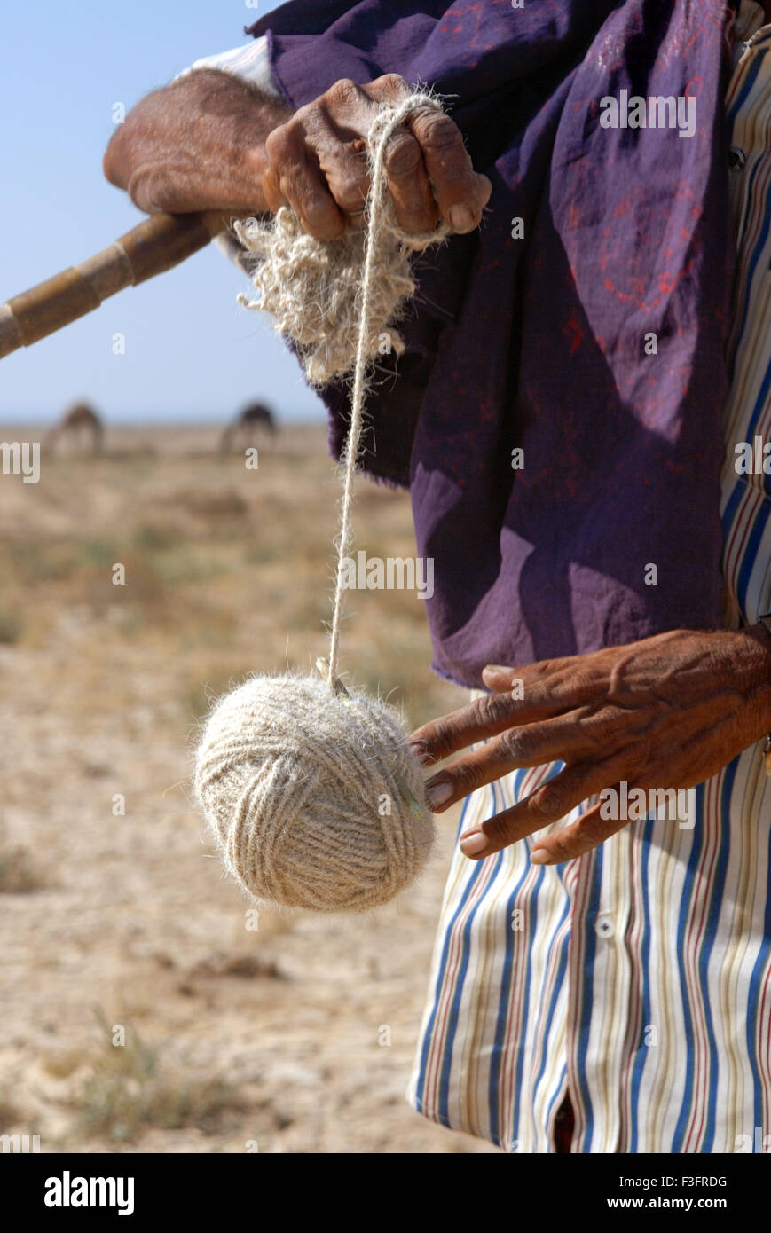 Making thread out of sheep wool ; Kutch ; Gujarat ; India Stock Photo ...