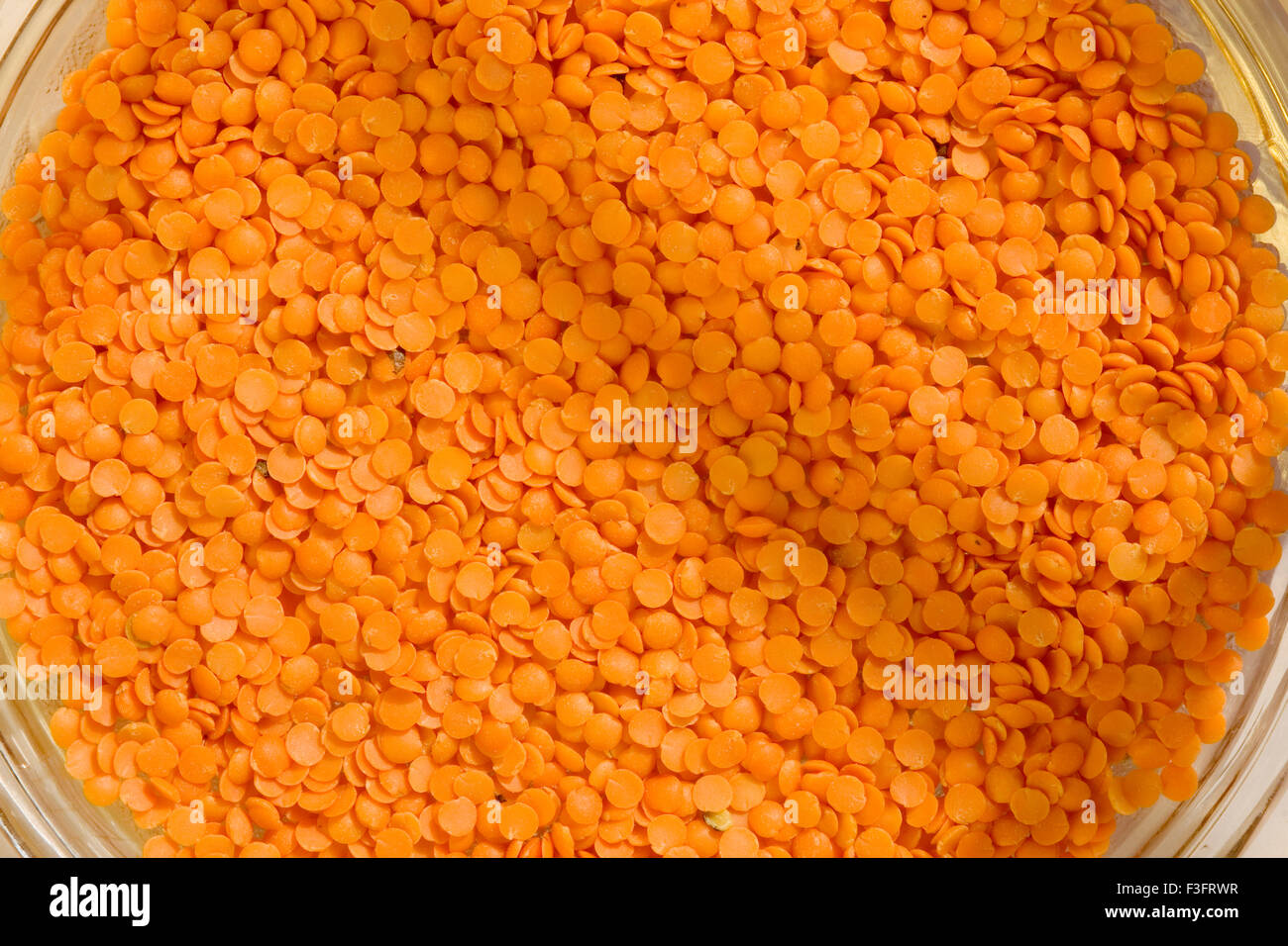 Masur hi-res stock photography and images - Alamy