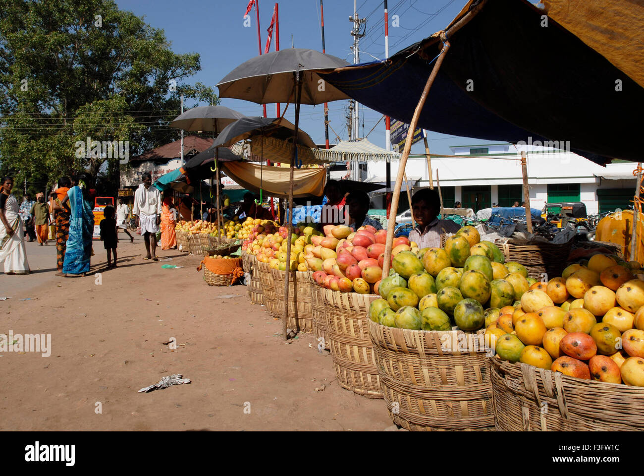 Mango stalls ; Palani ; Tamil Nadu ; India Stock Photo - Alamy