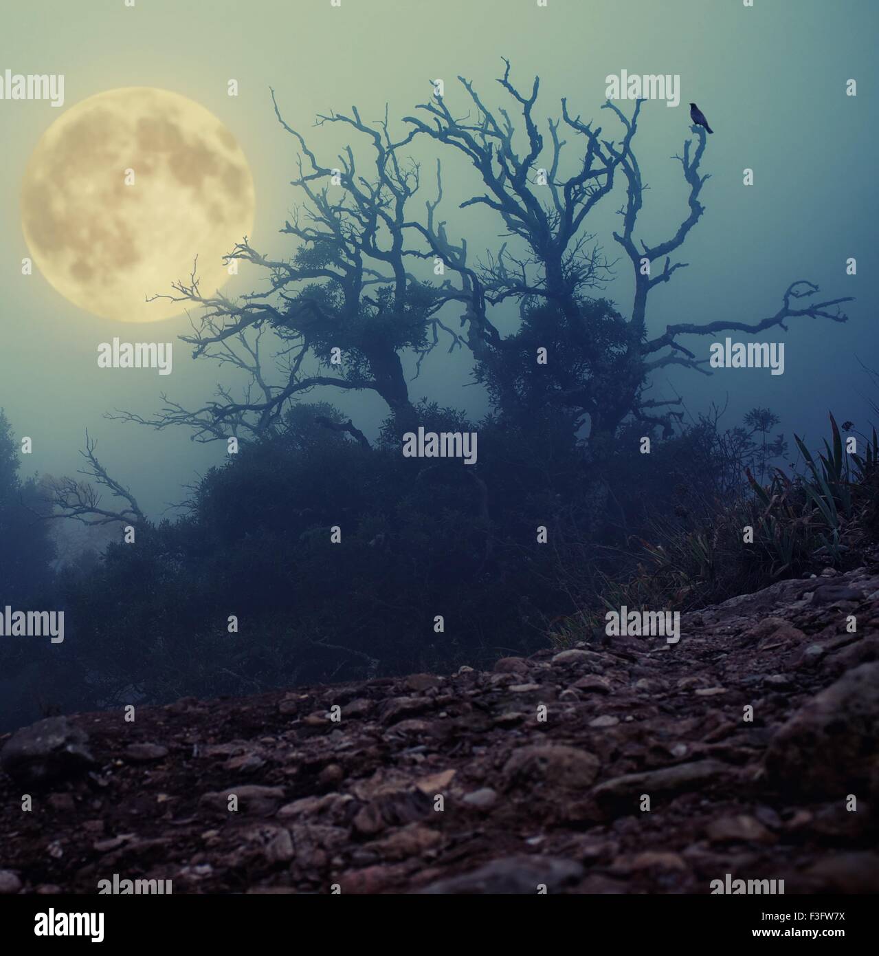 Spooky tree hi-res stock photography and images - Alamy