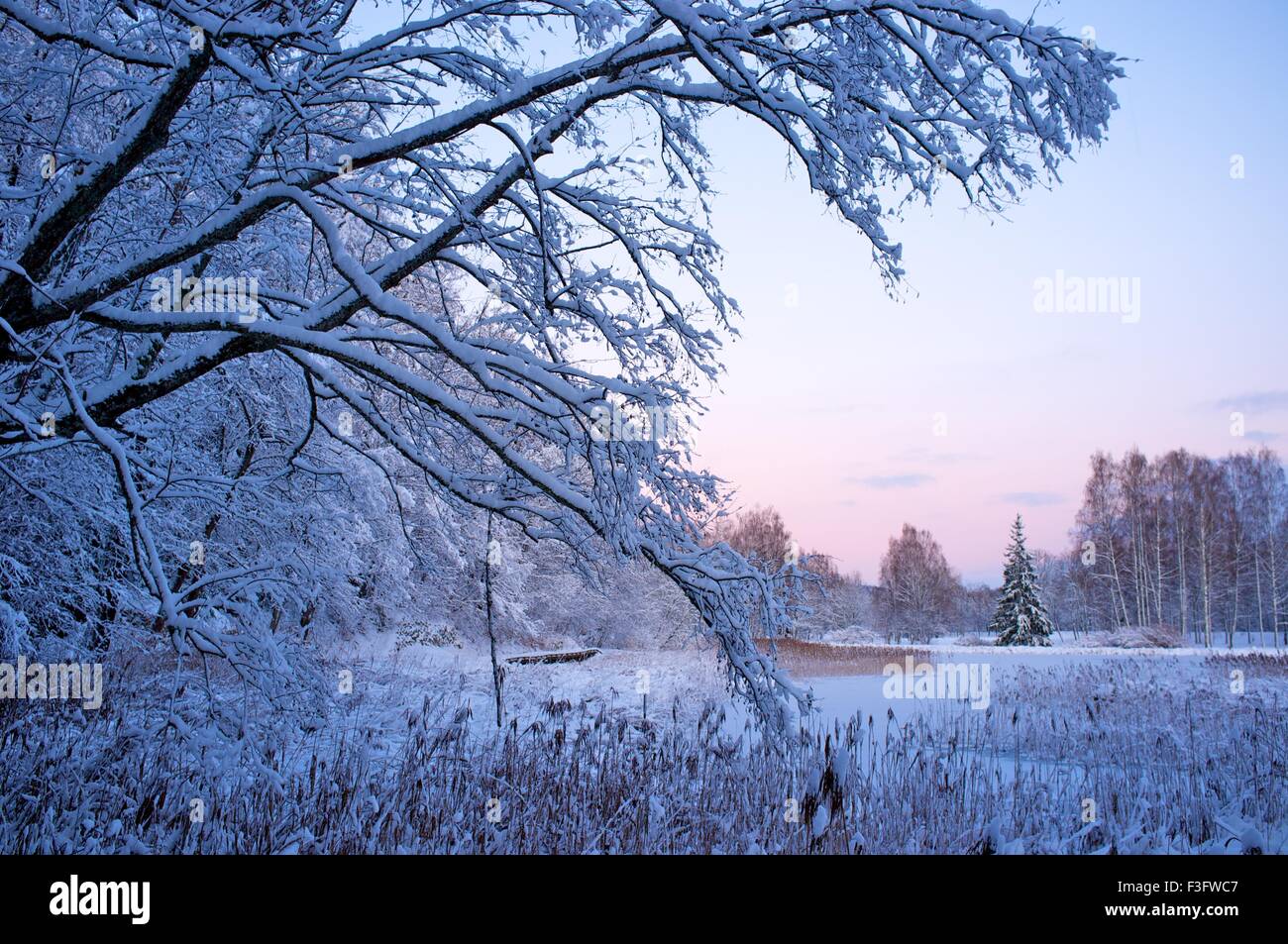 Beautiful winter landscape Stock Photo - Alamy