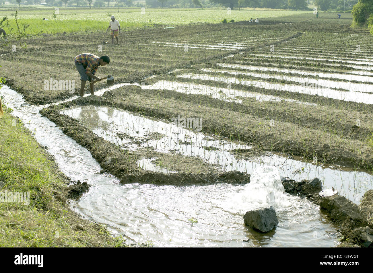 Poor irrigation hi-res stock photography and images - Alamy