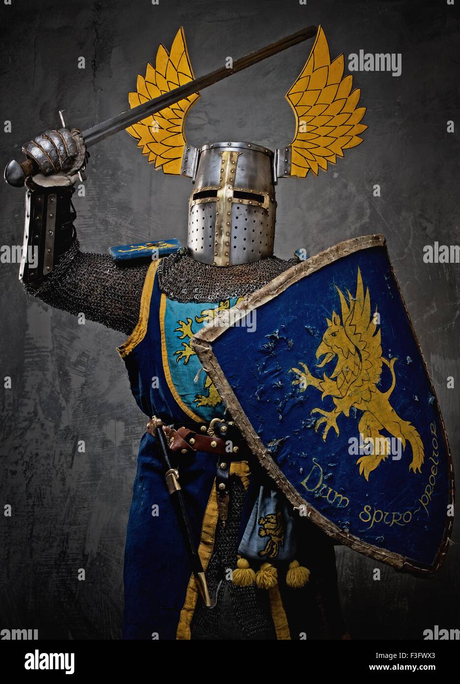 Medieval knight in attack position Stock Photo - Alamy