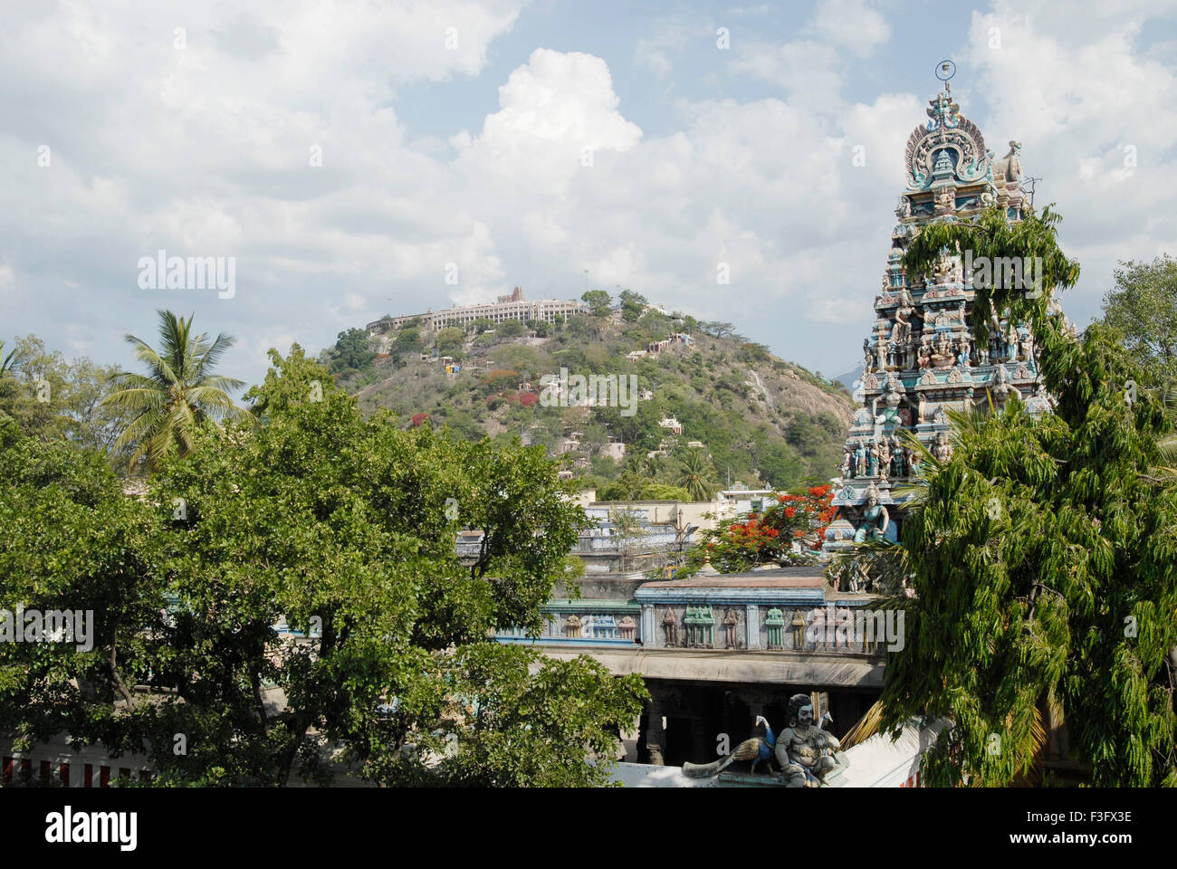 Palani temple hi-res stock photography and images - Alamy