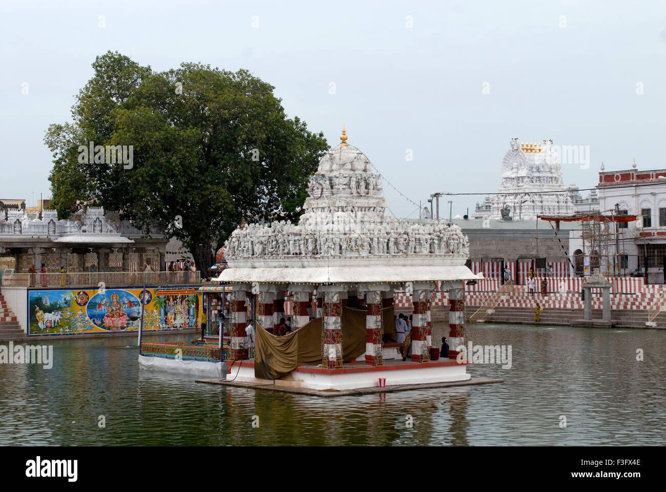 Pushkarini in Sri Padmavati Temple at Tiruchanoor (Alarmelu Mangapuram ...