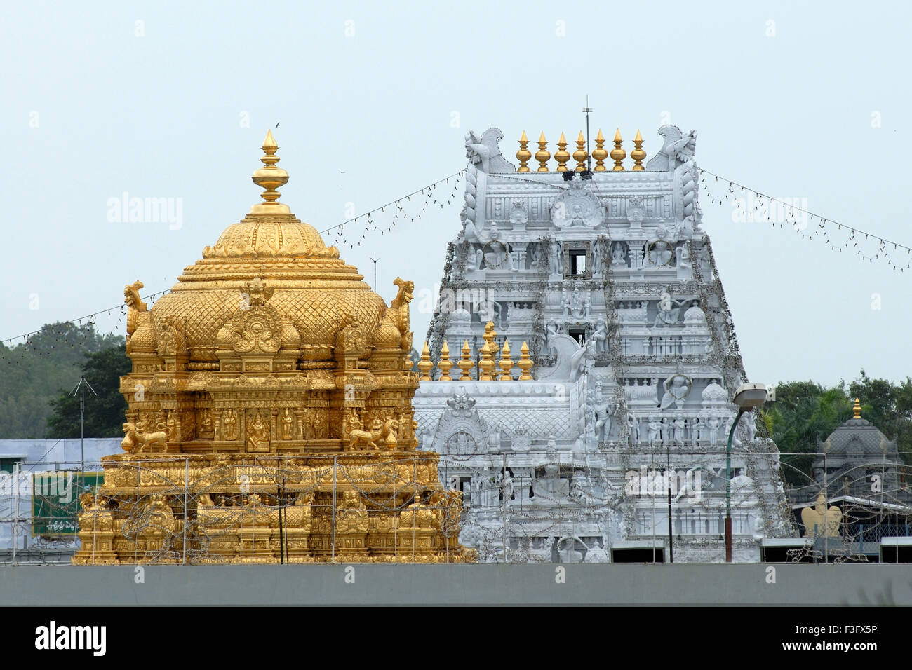 Golden Gopuram of Lord Venkateshvara temple in Tirumala Tirupati Stock ...