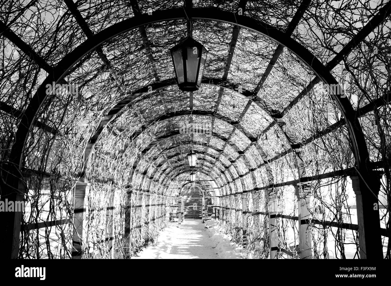 Trellis archway entrance hi-res stock photography and images - Alamy