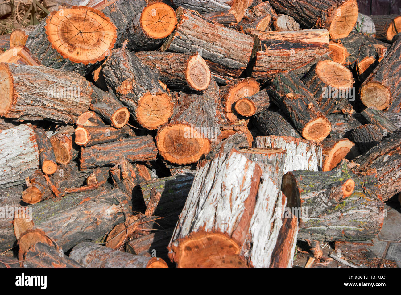 Log pieces hi-res stock photography and images - Alamy