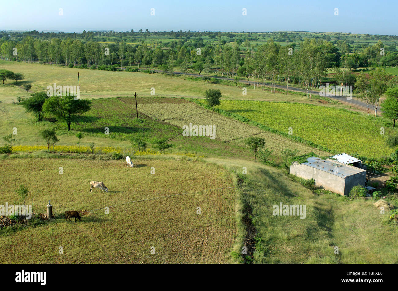 Aerial view of the fields from the water tank top at Ralegan Siddhi ...