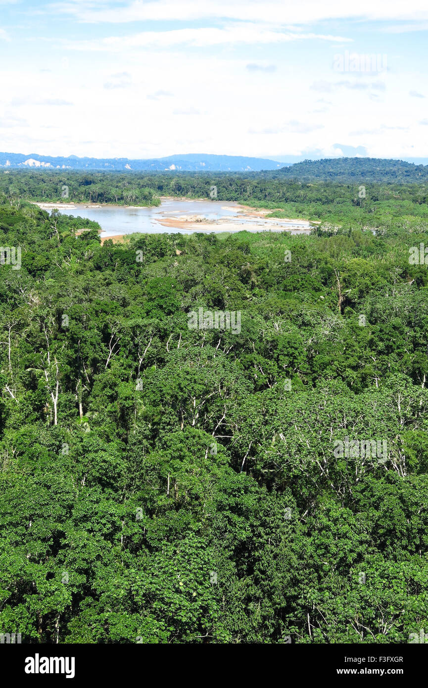 Amazon forest in the Madidi National Park, Bolivia Stock Photo - Alamy