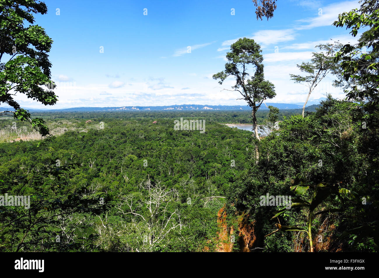 Bolivia rainforest hi-res stock photography and images - Alamy
