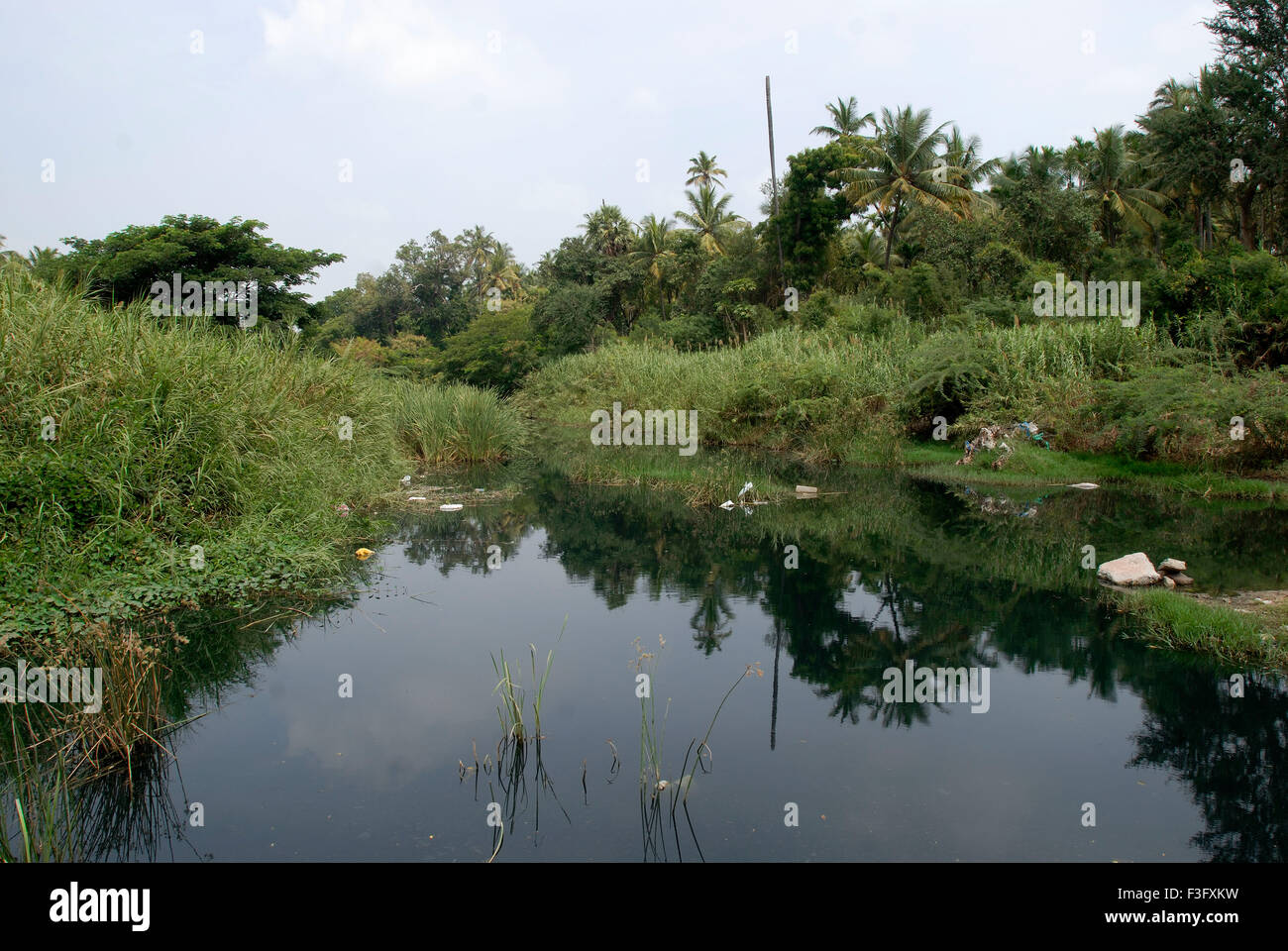 Noyyal river hi-res stock photography and images - Alamy