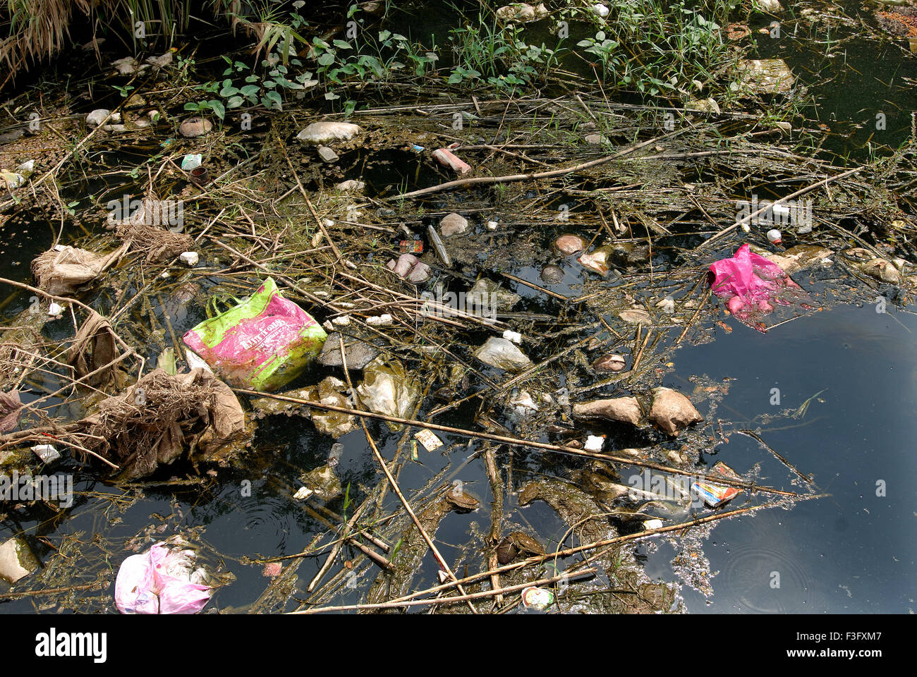 River pollution india hi-res stock photography and images - Alamy