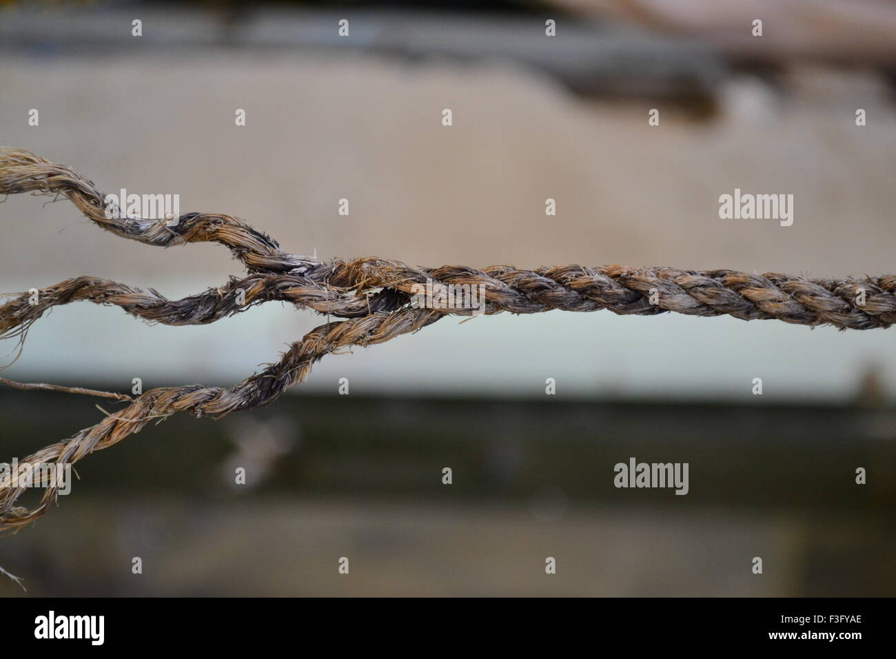 Twisted cable hi-res stock photography and images - Alamy