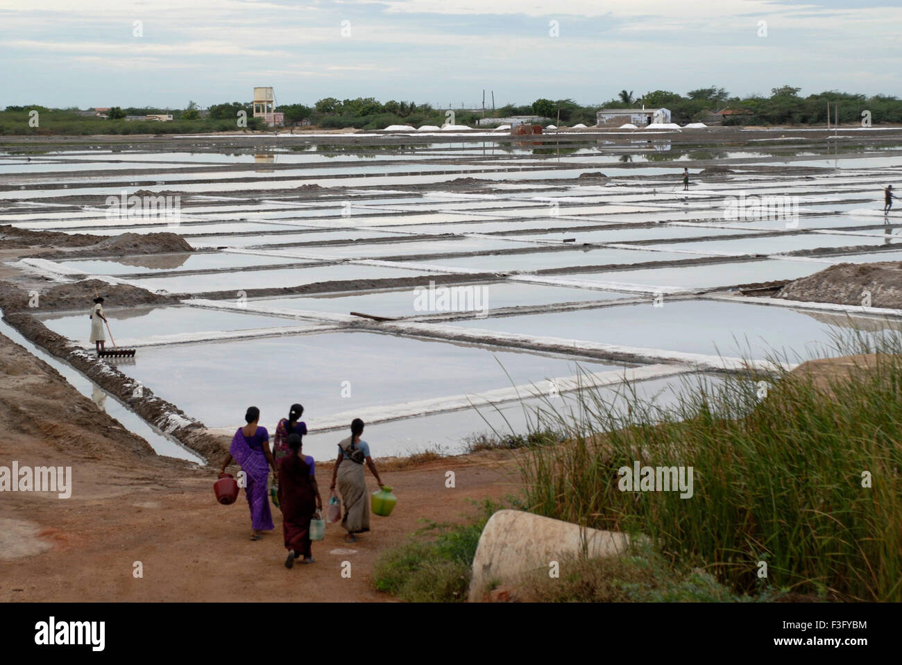 Salt pans at Thuthukudi Tuticorin ; Tamil Nadu ; India Stock Photo - Alamy
