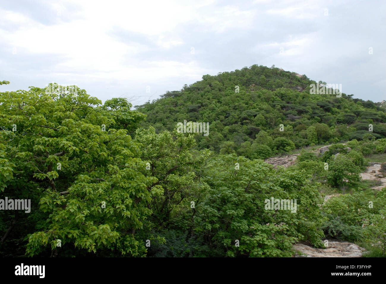 Thiruthani murugan temple hi-res stock photography and images - Alamy