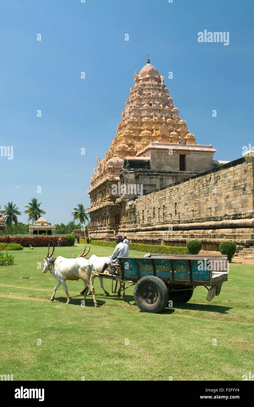 Capital of the cholas hi-res stock photography and images - Alamy
