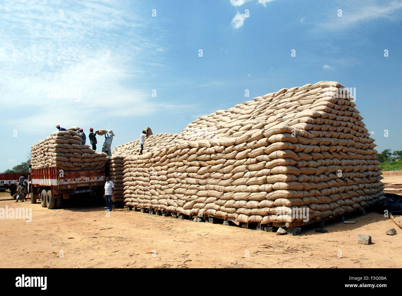 Rice bags open storage near Neyveli ; Tamil Nadu ; India Stock Photo ...