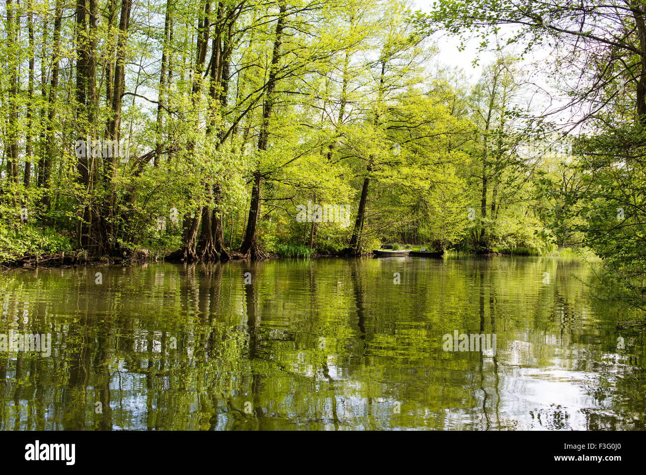 Lubbenau spreewald scenic germany hi-res stock photography and images ...