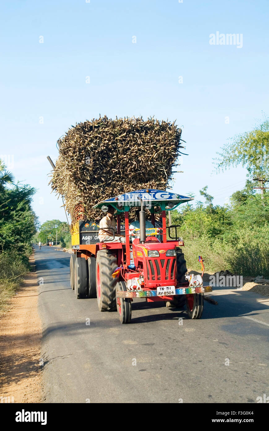 Sugarcane transport hi-res stock photography and images - Alamy