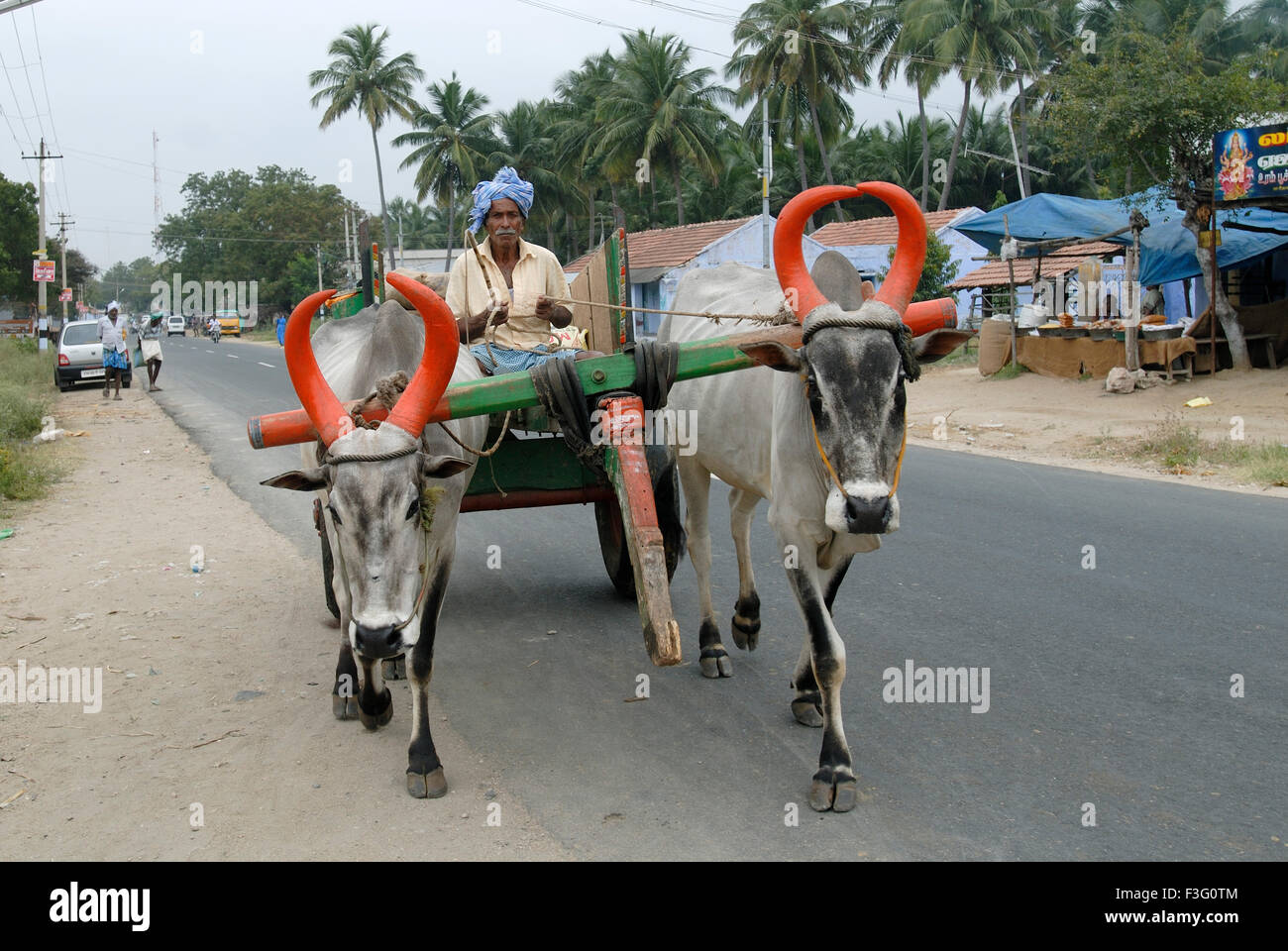 Bullocks pulling cart hi-res stock photography and images - Alamy