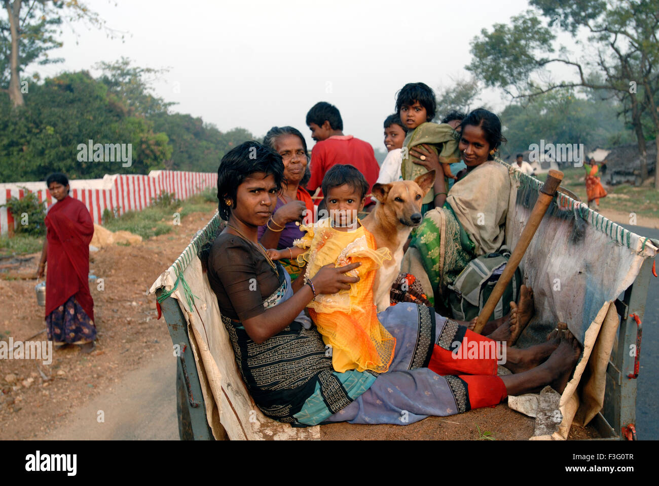 People travel in bullock cart with dog ; India ; asia Stock Photo - Alamy