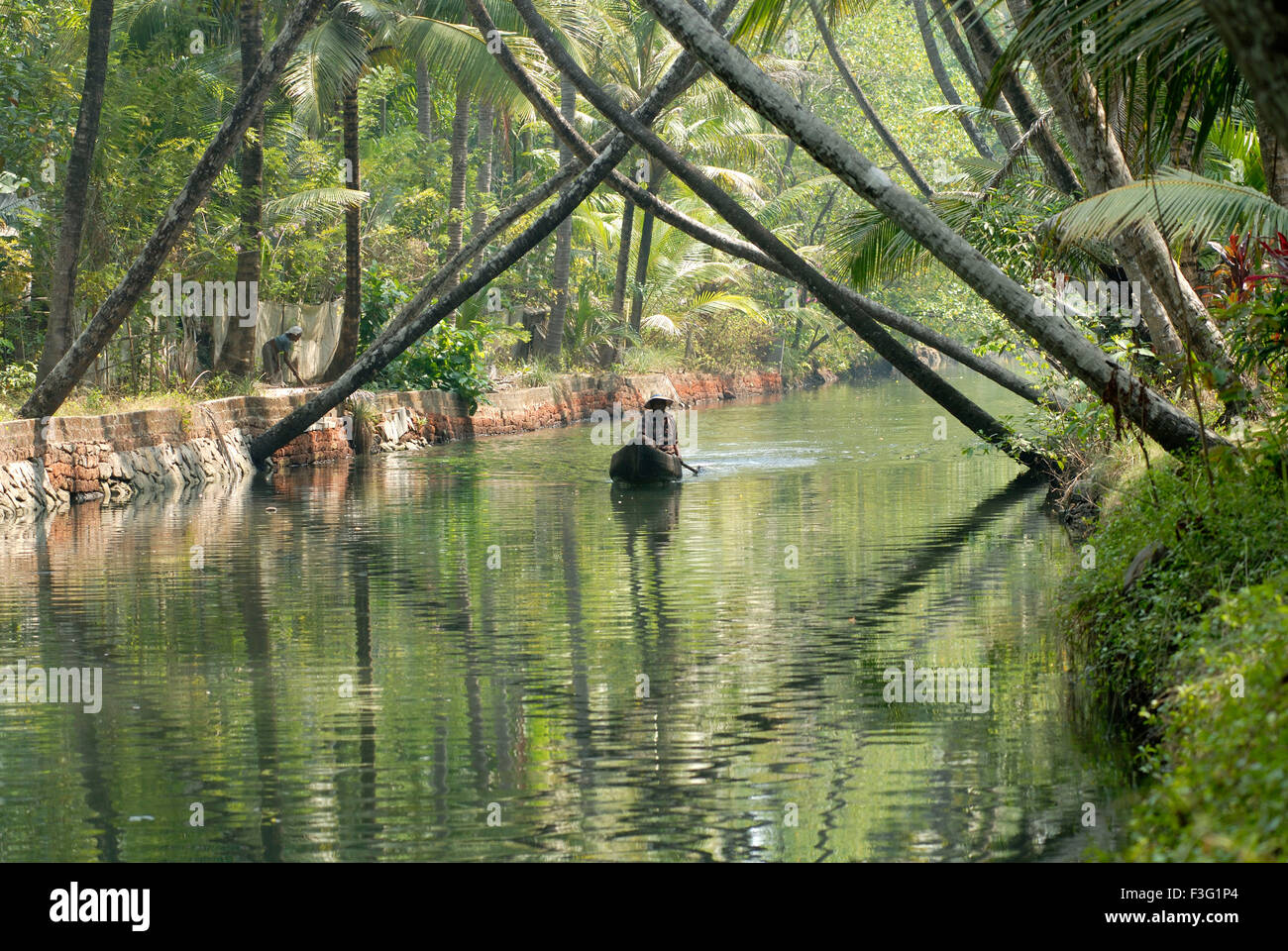 Boating, backwater, Kerala, India Stock Photo - Alamy