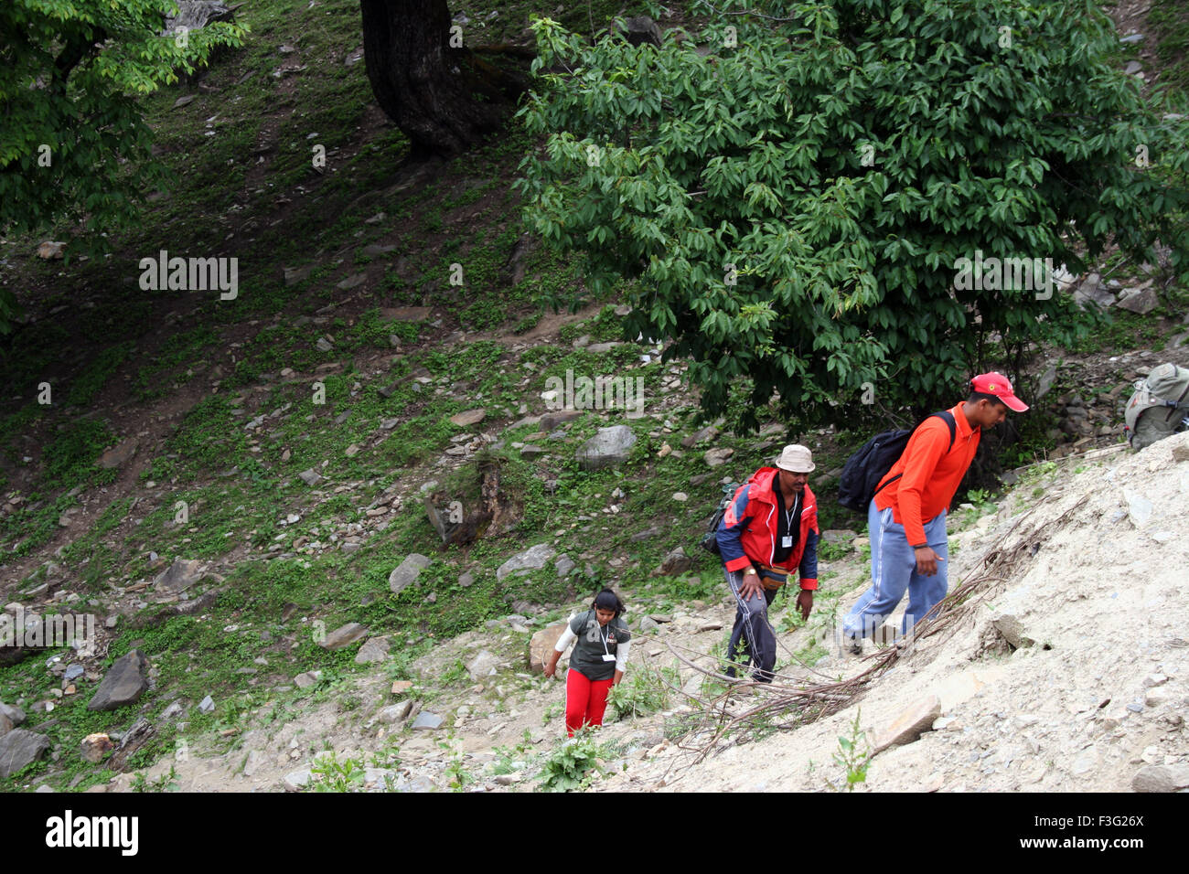 Trekkers on the way to Dhundi ; Manali ; Himachal Pradesh ; India Stock ...