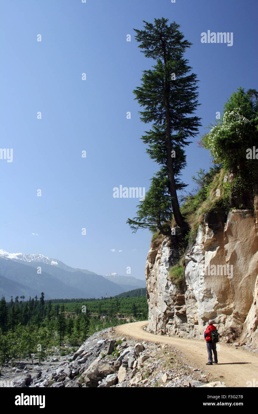 Landscape ; Manali ; Himachal Pradesh ; India Stock Photo - Alamy