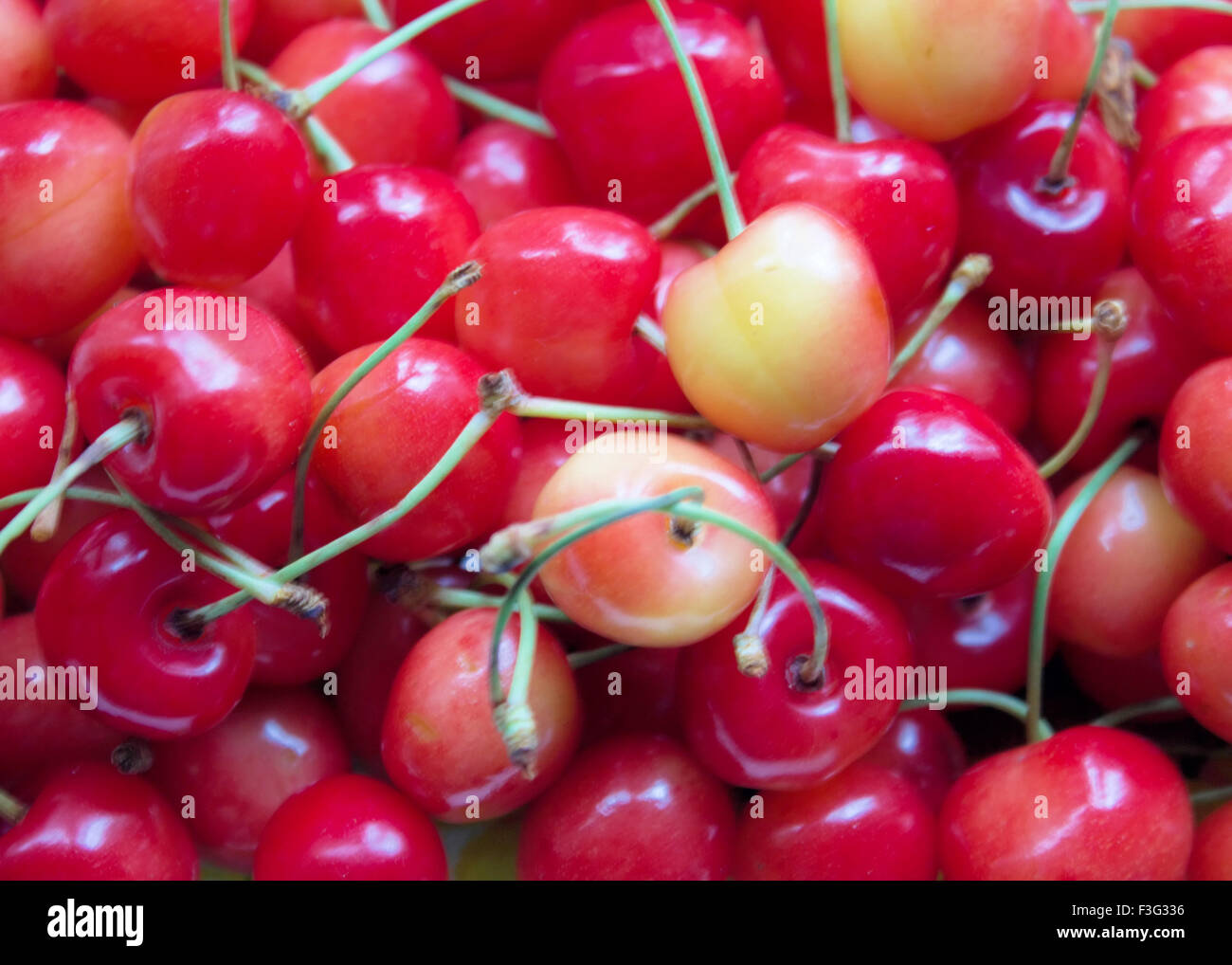 Cherry, Fruit, Background, Fruit of berry, Red, Food, Cute, Organic ...