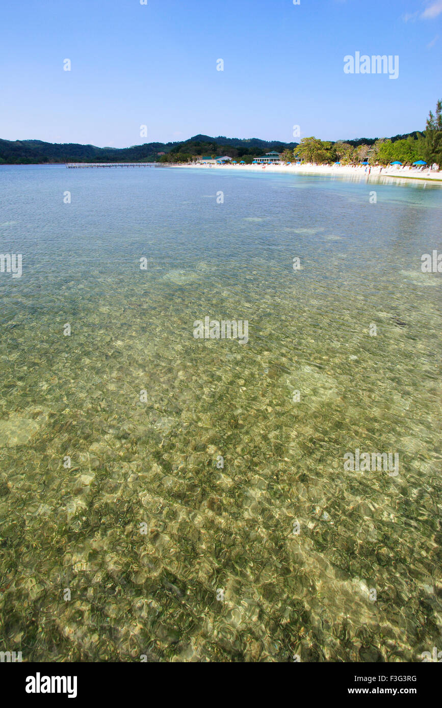Beach ; coral in water ; Roatan island ; country Honduras Stock Photo ...