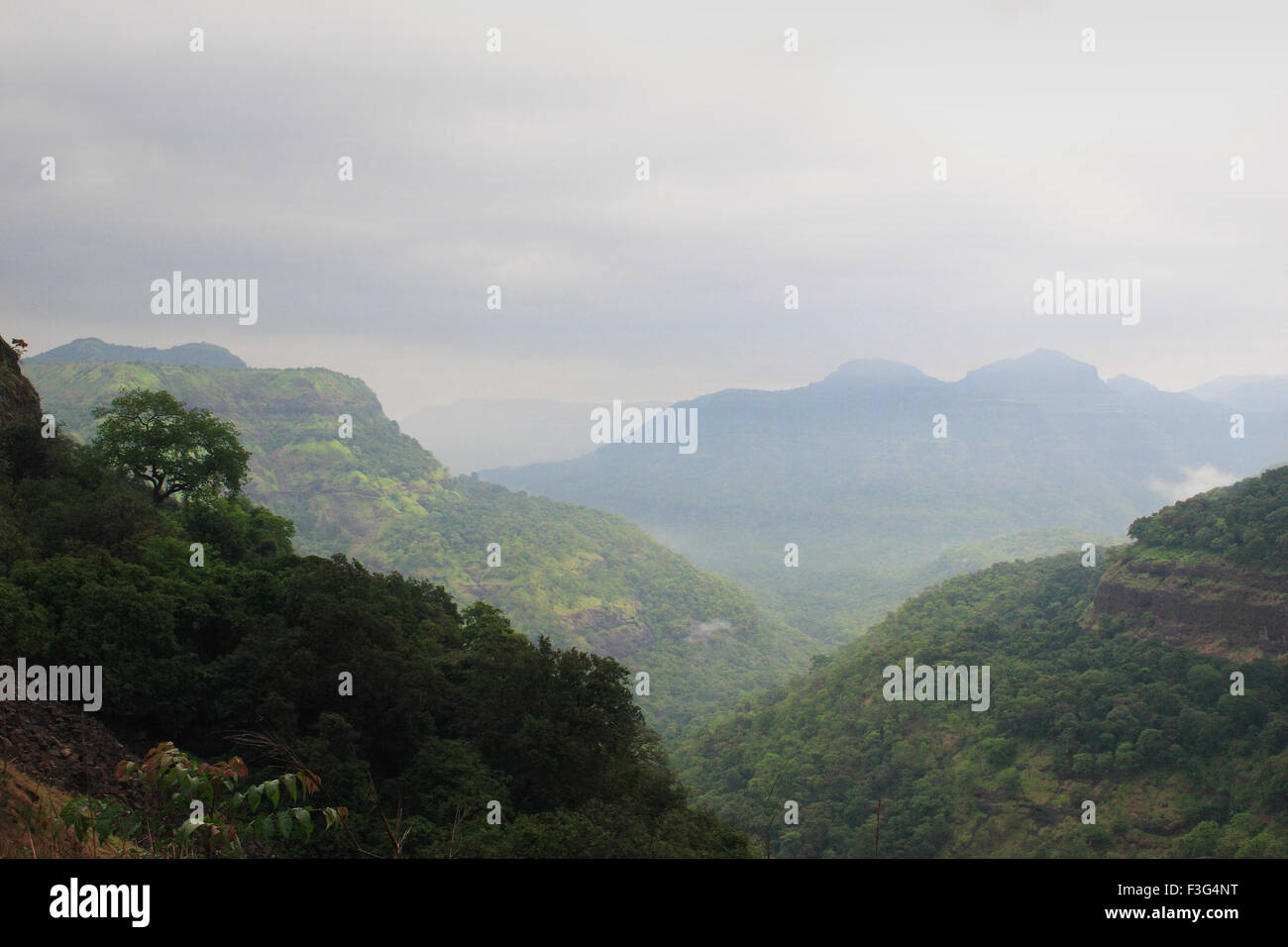 Western ghats greenery view hi-res stock photography and images - Alamy