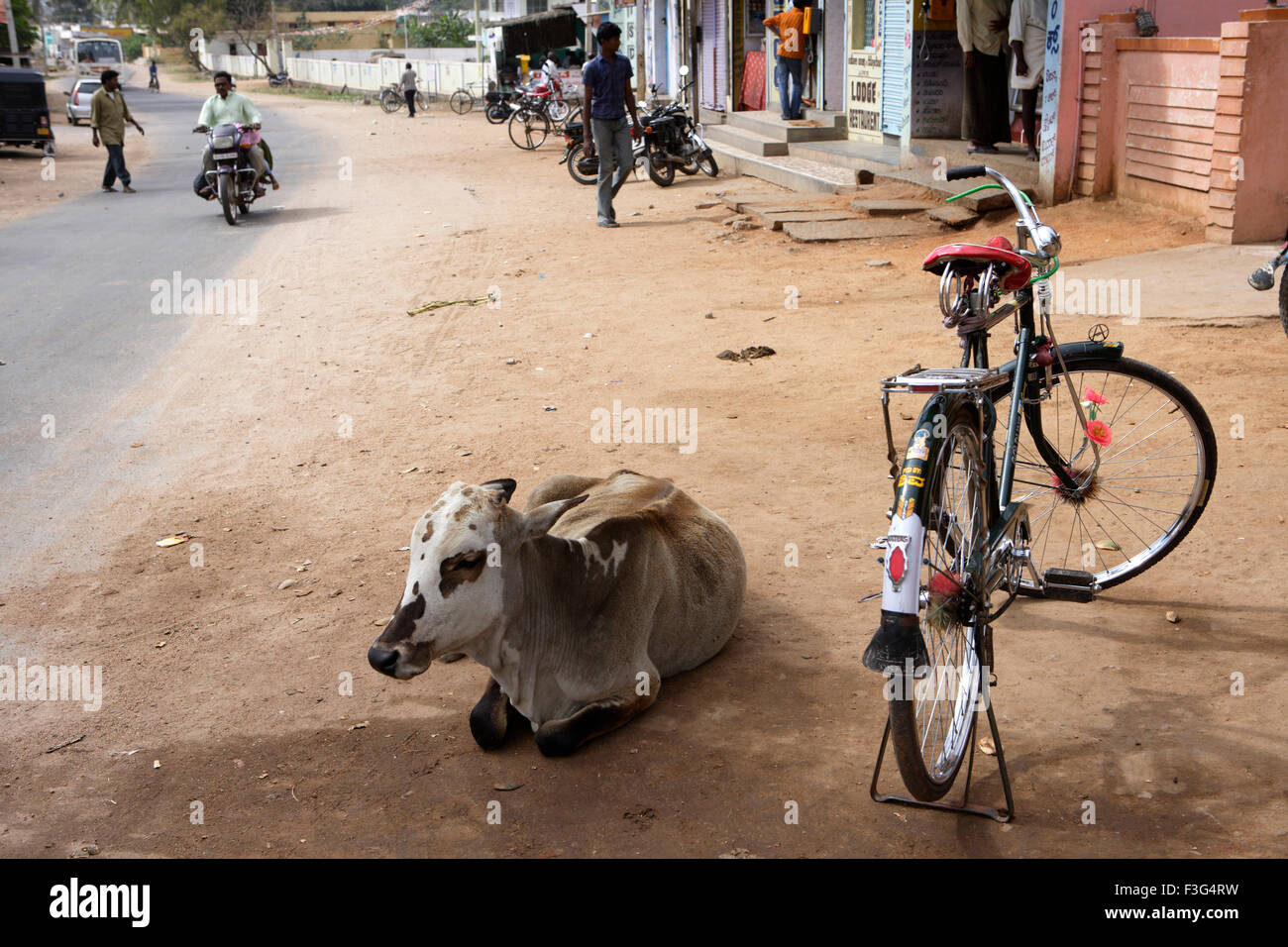 Cow Seated On Road ; Fruits Stall ; Kamalapur ; Hampi ; Vijayanagara ...